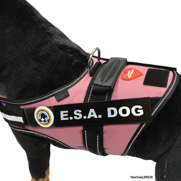 ESA Dog Vest + Dog Tag by LuvDoggy - LUVDOGGY